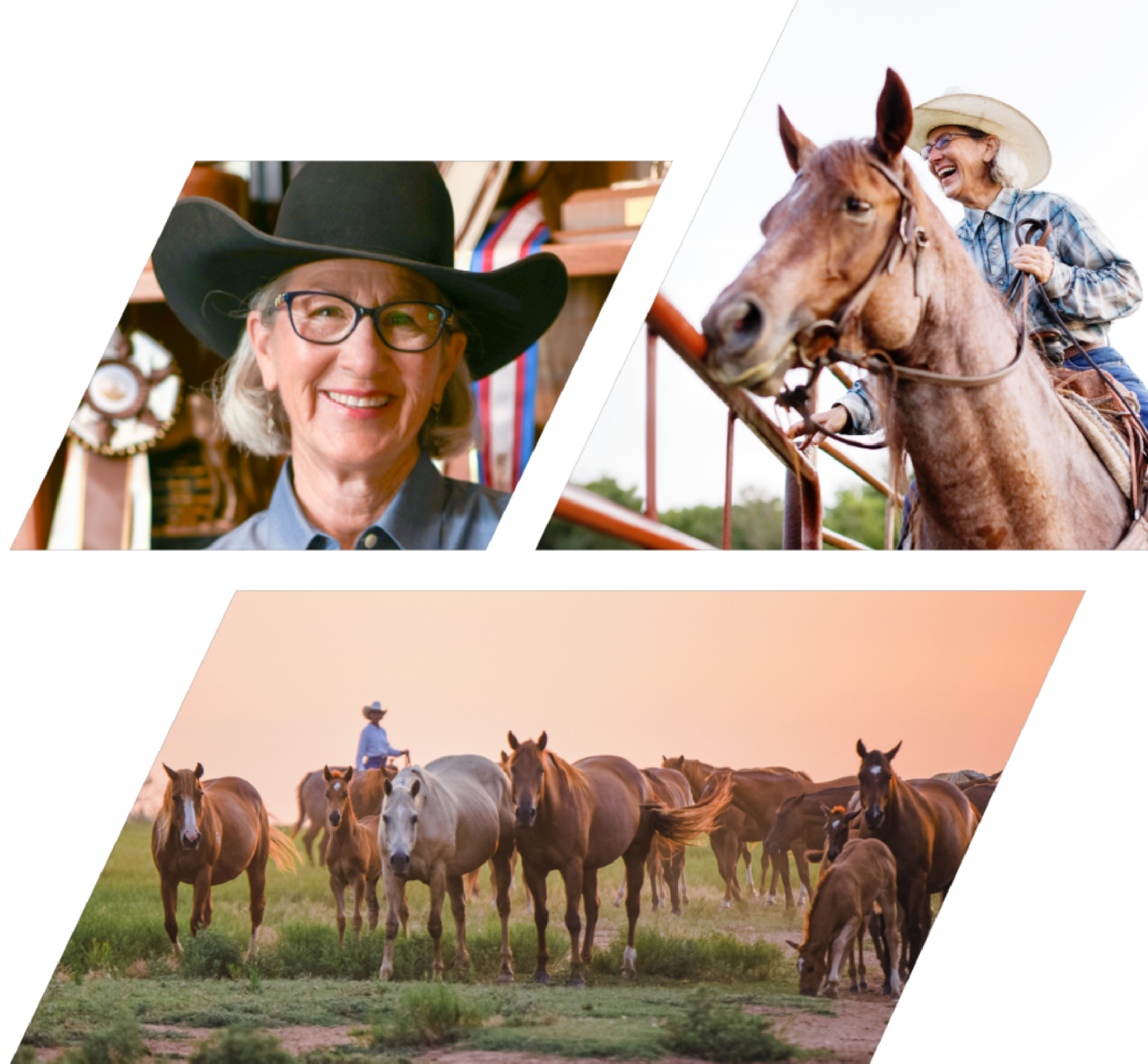 7S Stuart Ranch | About Oklahoma's Oldest Family-Owned Ranch