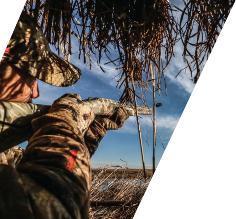 Home - 7S Stuart Ranch | Family-Owned Since 1868