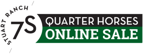 7S Stuart Ranch | Quarter Horses Online Sale